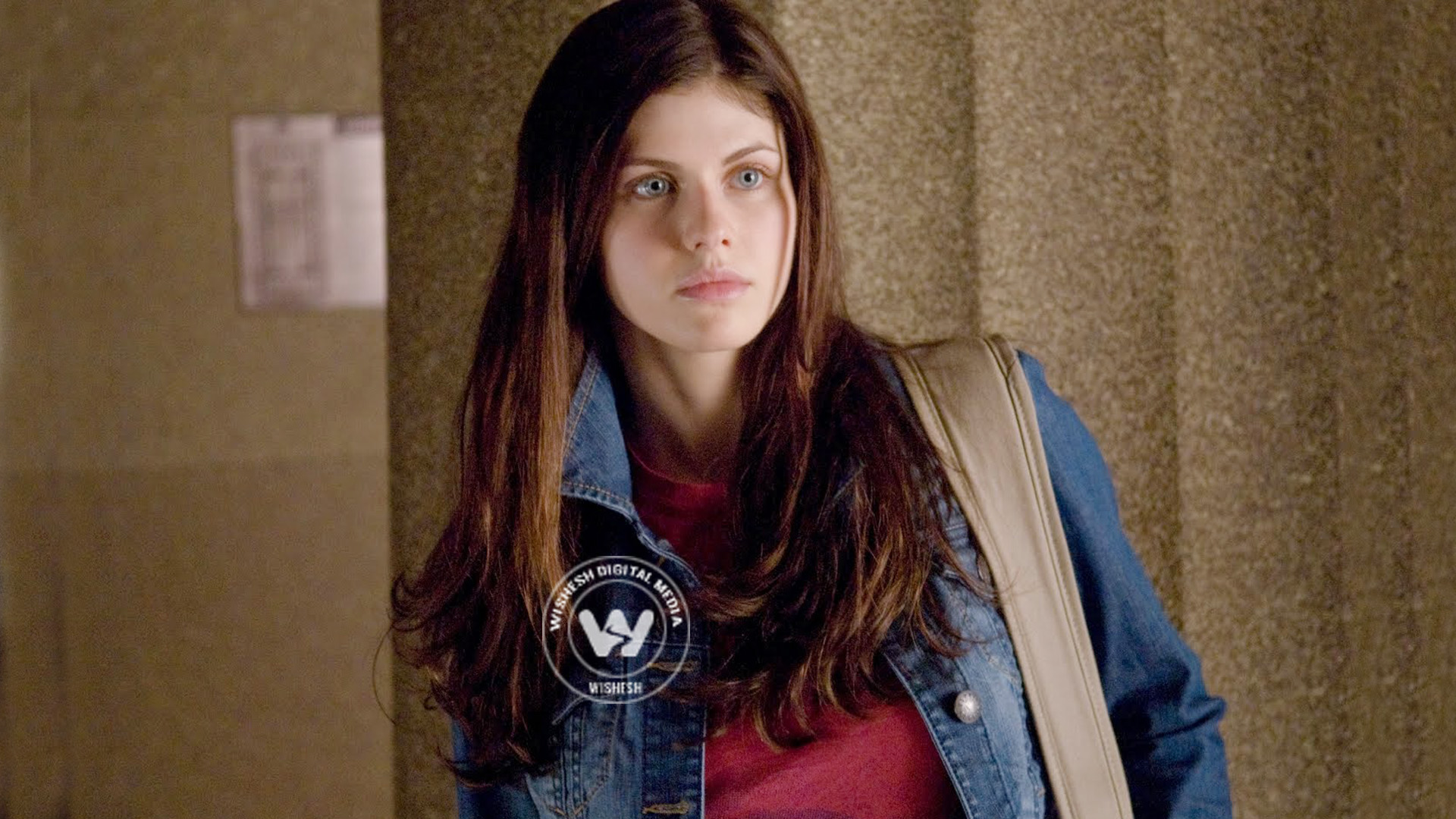 Alexandra Daddario Latest Wallpapers. | Photo 10 of 10